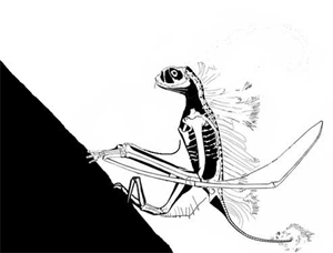 Weird Things » Blog Archive » Vampire Pterosaur?